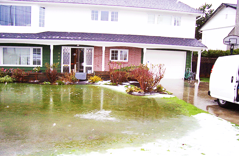 Exterior Flood - Incredible Restorations